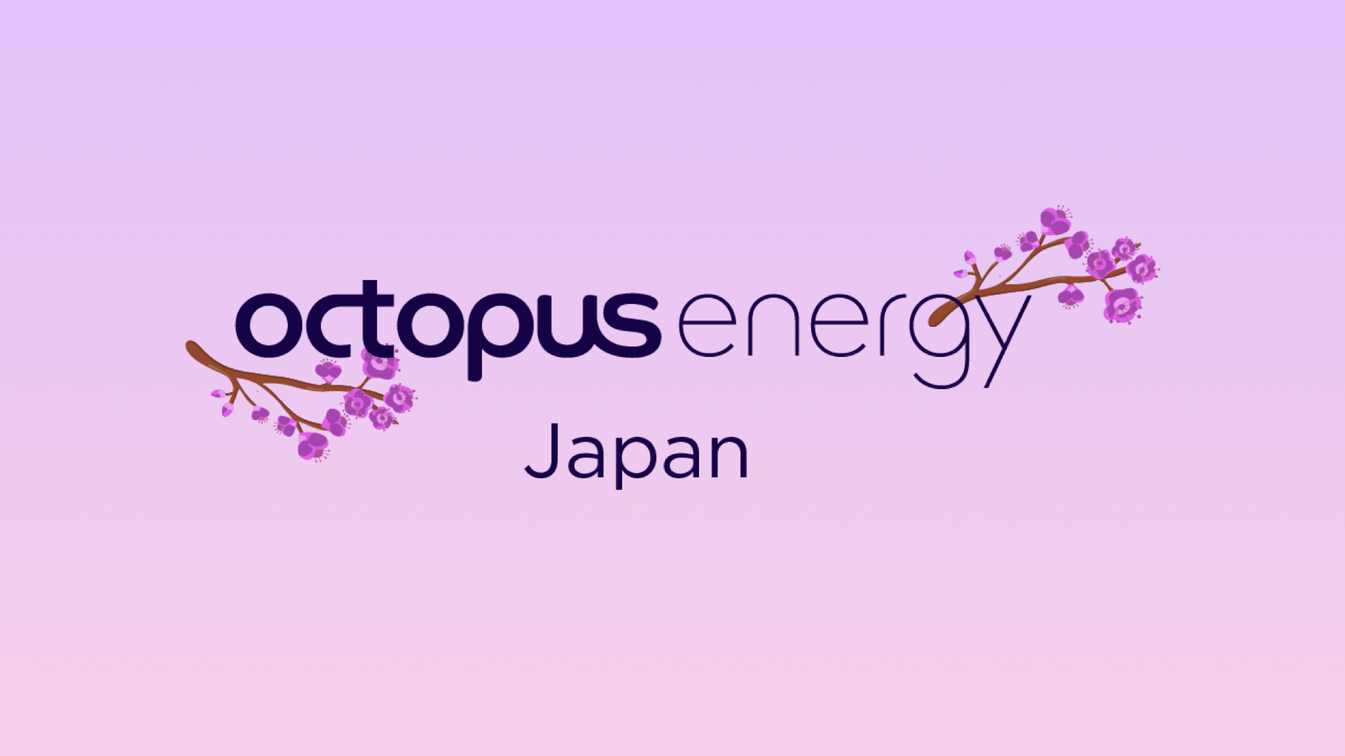Octopus Energy Enters Partnership with Tokyo Gas - Akihabara News