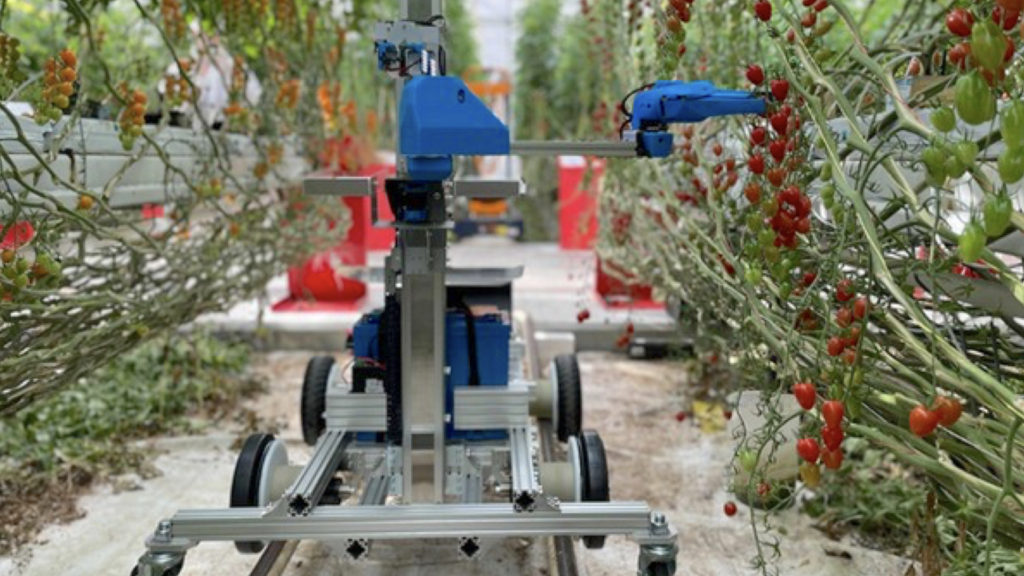 Japanese Harvesting Robot in Tomatoworld - Akihabara News